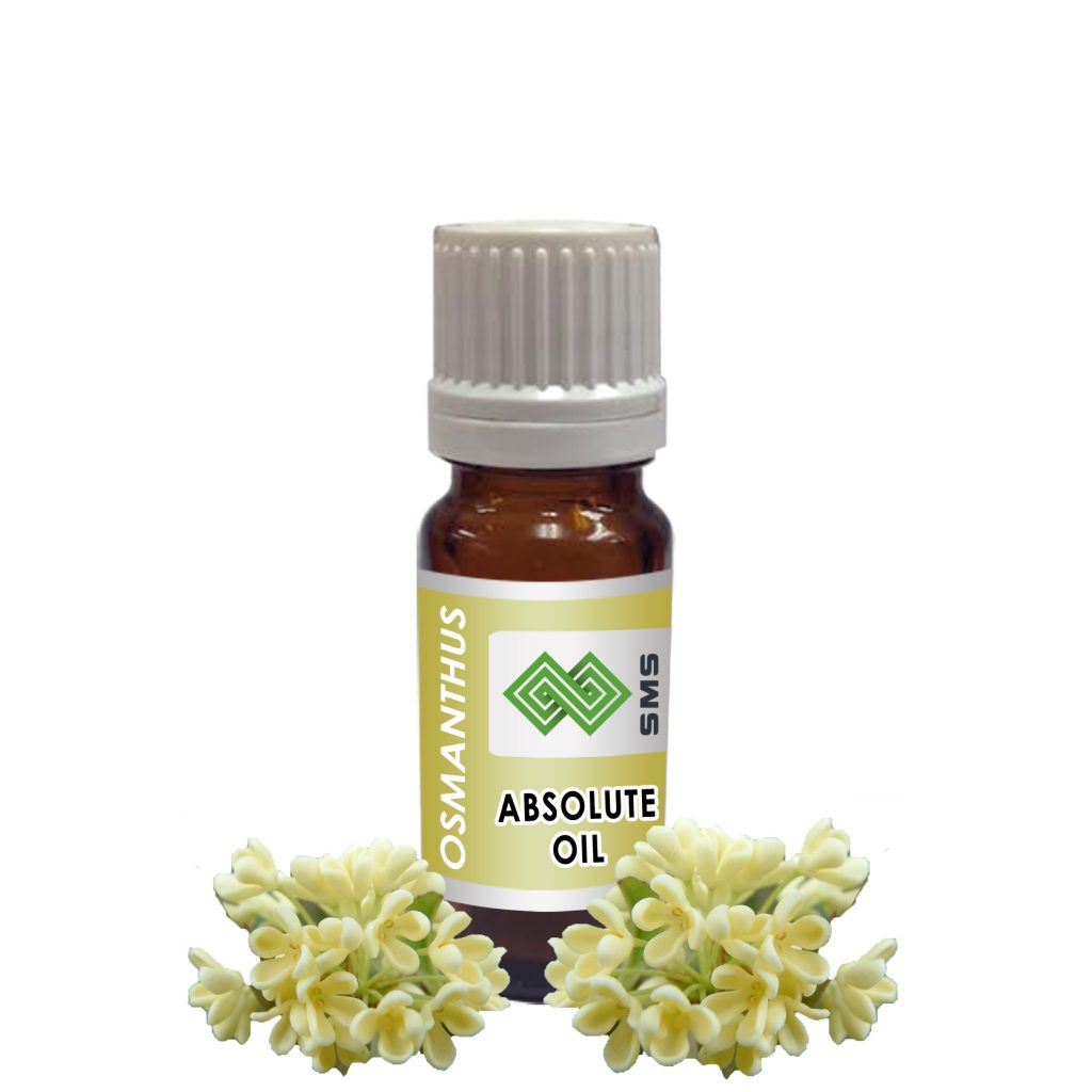 Osmanthus Absolute Oil - SMSOrganics, Pure Essential Oils, Carrier Oils ...